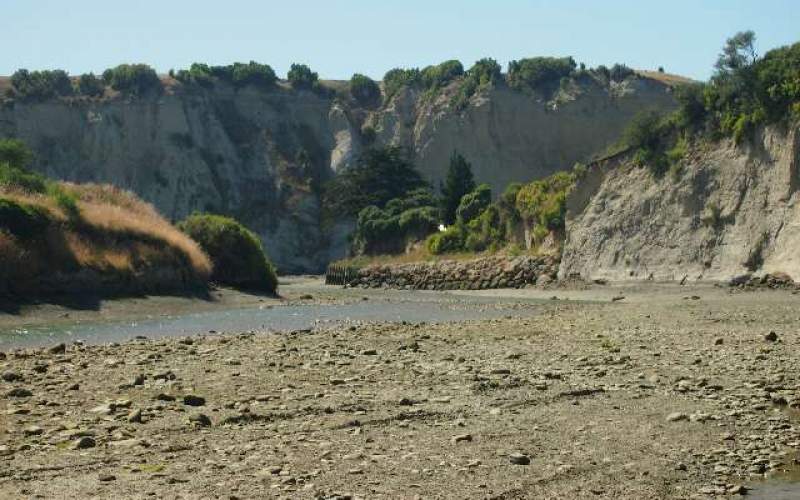 Motunau Beach Camp | Freedom/Basic Camp | New Zealand